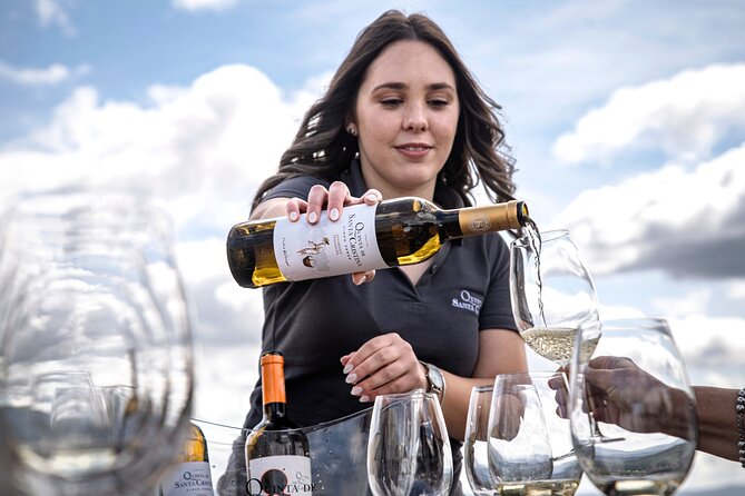 Premium Tasting | Quinta de Santa Cristina Vinho Verde - The Value of This Tour