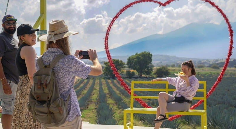 Premium Tequila Route with professional tasting - An In-Depth Look at the Tequila Experience