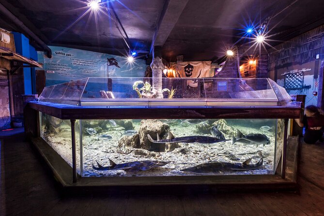 Premium Ticket Sea Life Benalmádena - Key Points