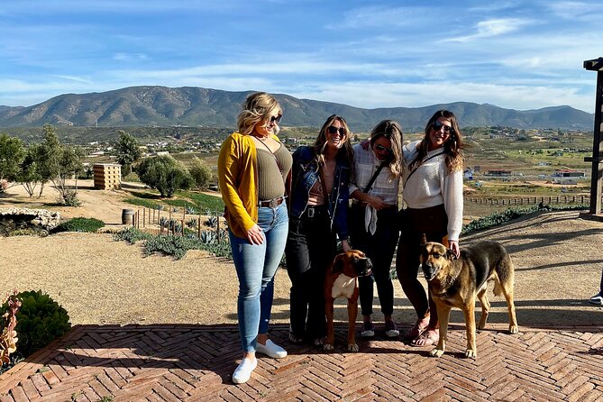 Premium Valle De Guadalupe Wine and Food Tour - Culinary Delights of the Region