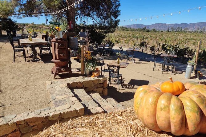 Premium Valle De Guadalupe Wine and Food Tour - Exploring the Valle De Guadalupe Landscape