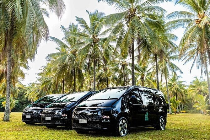 Premium Van, Private Transfer, Cairns Airport - Port Douglas. - The Journey to Your Tropical North Adventure