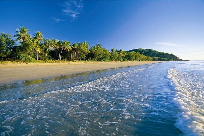 Premium Van, Private Transfer, Cairns Airport - Port Douglas. - FAQs