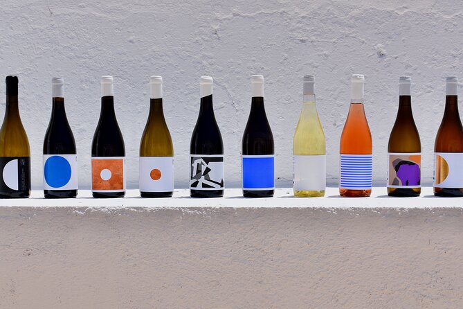 Premium Vineyard Tour & Tasting - What to Expect During Your Vineyard Tour