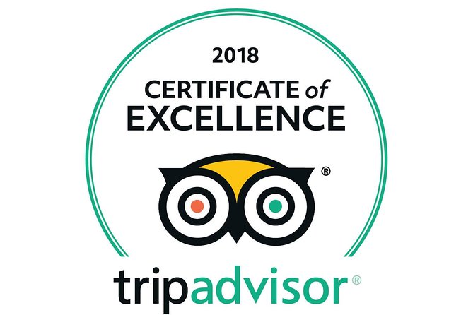 Premium VIP Private Tour: Vatican Museum, Sistine Chapel - Authentic Experiences and Feedback from Travelers