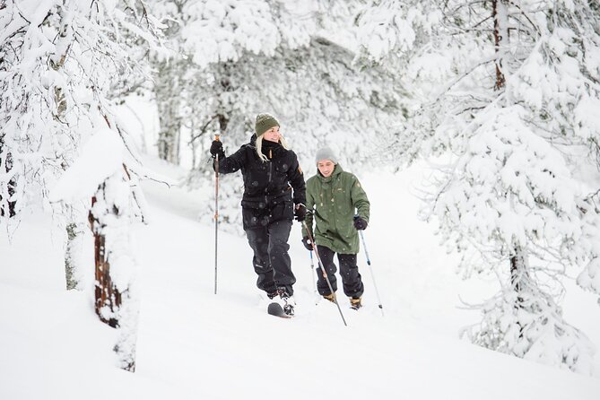 Premium Wilderness Skiing in Pyhä-Luosto National Park - Key Points