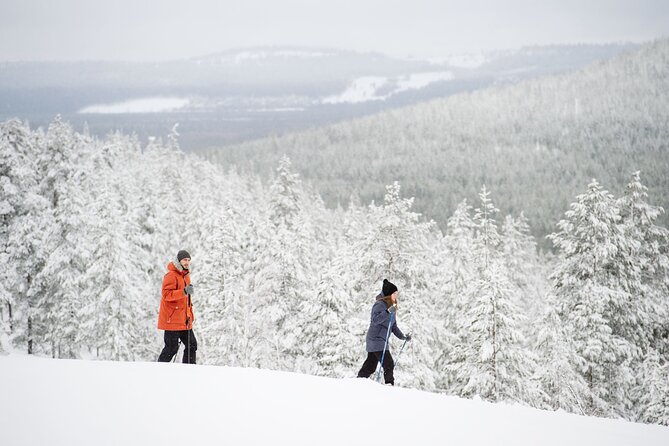 Premium Wilderness Skiing in Pyhä-Luosto National Park - Practical Considerations