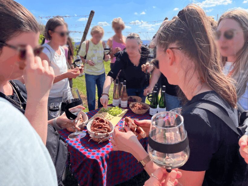 Premium wine hike Stuttgart with games and winemaker's snack - Detailed Breakdown of the Itinerary