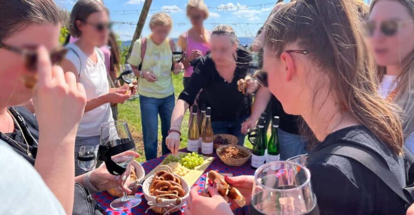 Premium wine hike Stuttgart with games and winemaker's snack - The Value of the Experience