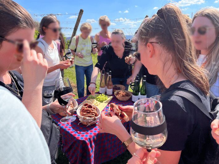 Premium wine hike Stuttgart with games and winemaker's snack - Who Is This Tour Best For?