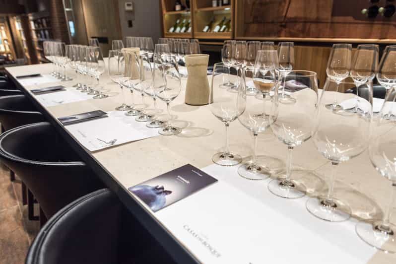 Premium Wine Tasting at Casas del Bosque + Private Transport - Key Points