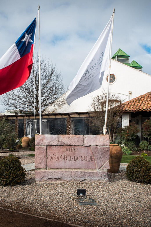 Premium Wine Tasting at Casas del Bosque + Private Transport - An Authentic Half-Day in Casablanca Valley