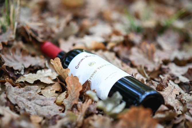 Premium Wine Tour Viña Cousiño Macul Official English - Key Points
