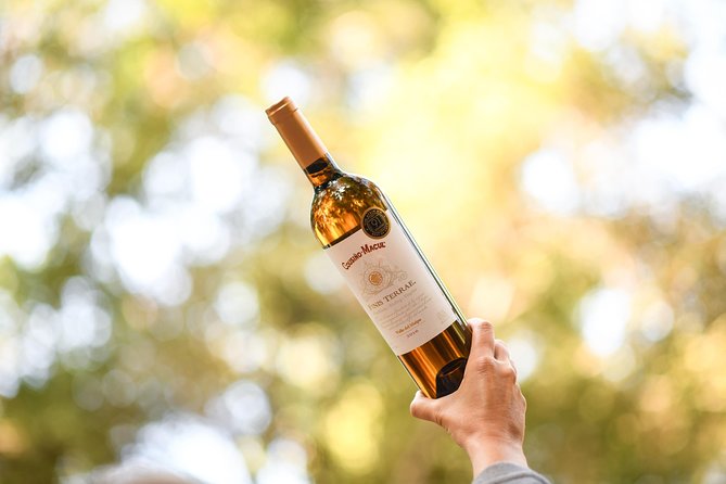 Premium Wine Tour Viña Cousiño Macul Official English - Meeting and Pickup Information