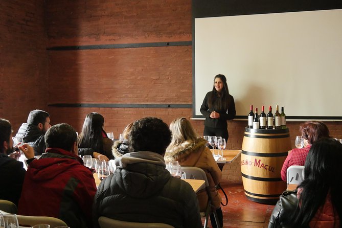 Premium Wine Tour Viña Cousiño Macul Official English - Wine Tasting Experience