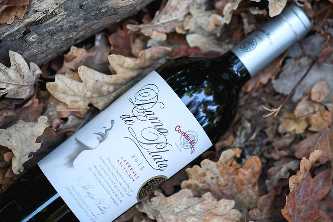 Premium Wine Tour Viña Cousiño Macul Official English - Vineyard History and Winemaking