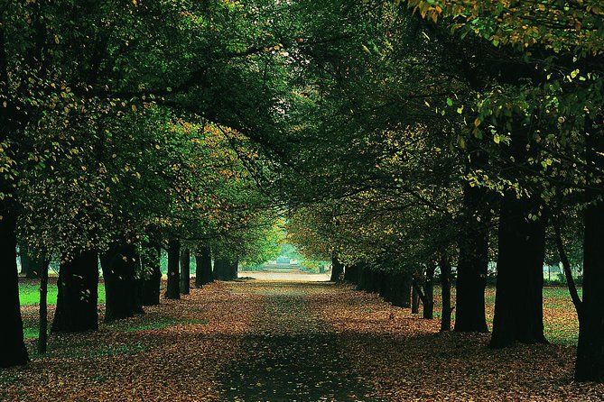 Premium Wine Tour Viña Cousiño Macul Official English - Cheese Pairing and Pairings