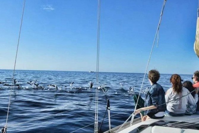 Premium Yacht Private Charter - Tour Details and Ratings