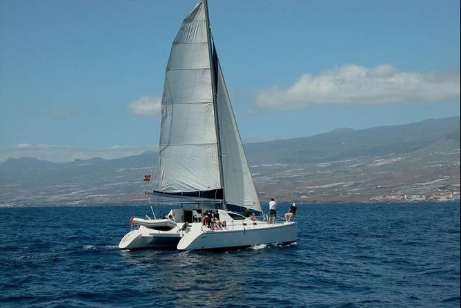 Prestigious cruiser private charter - What to Expect from the Tenerife Private Luxury Boat Tour
