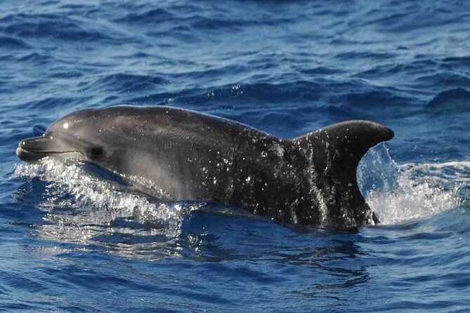 Prestigious cruiser private charter - Final Thoughts