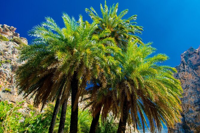 Preveli Palm Beach Boat Cruise & Rethymnon Town From Heraklion - Inclusions and Pricing