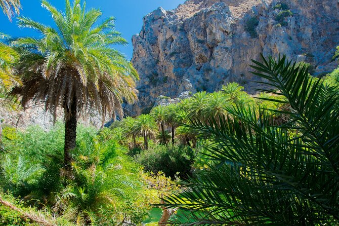 Preveli Palm Beach Boat Cruise & Rethymnon Town From Heraklion - Discovering Rethymnon Old Town