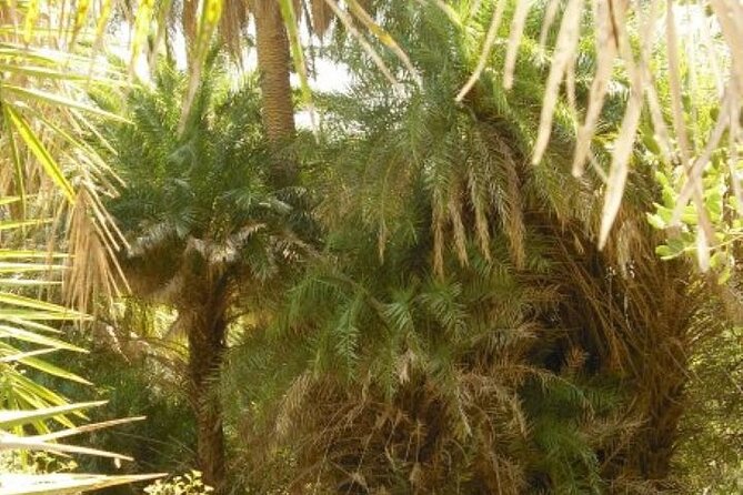 Preveli palm Beach & Damnoni Excursion - The Sum Up: Who Should Consider This Tour?