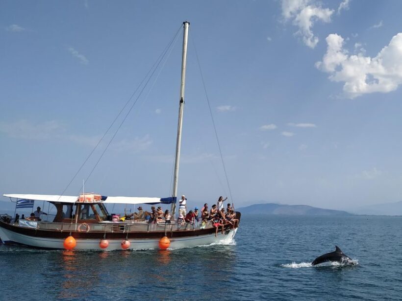 Preveza: Dolphin Watching Cruise with Lunch and Drinks - Key Points