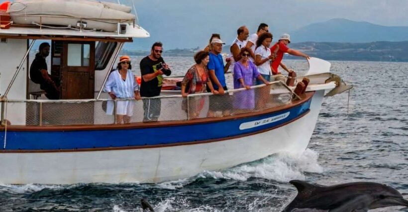 Preveza: Dolphin Watching Cruise with Lunch and Drinks - The Sum Up: Is It Worth It?
