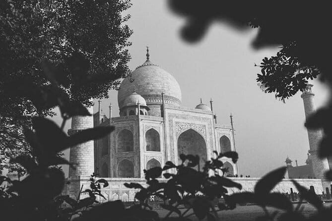 Priavte Taj Mahal at Sunrise and Agra Day Tour from Delhi - An In-Depth Review of the Tour Experience