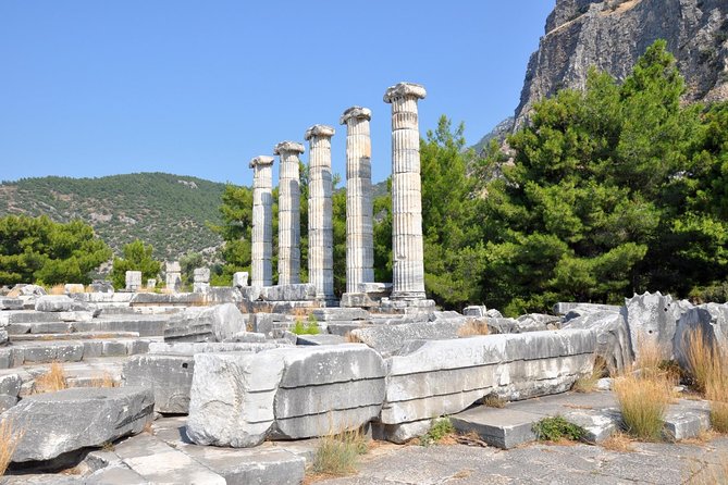 Priene Miletos Didyma Tour From Kusadasi / Selcuk Hotels - Who This Tour Is Best Suited For