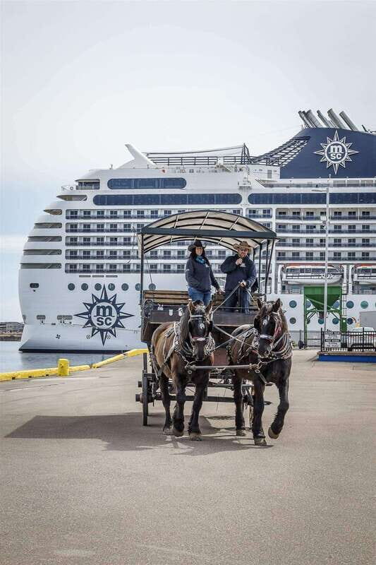 Prince Edward Island: Horse-Drawn Carriage Tour - Key Points
