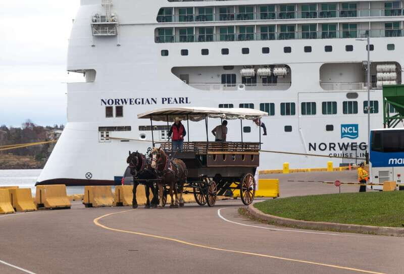Prince Edward Island: Horse-Drawn Carriage Tour - The Experience Itself: What to Expect