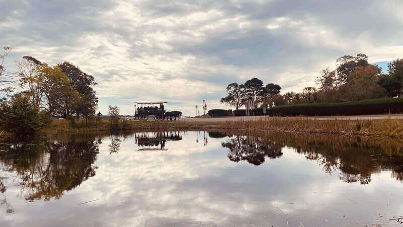 Prince Edward Island: Horse-Drawn Carriage Tour - How Does It Compare to Other Tours?