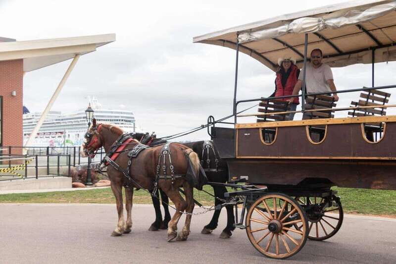 Prince Edward Island: Horse-Drawn Carriage Tour - Practical Details
