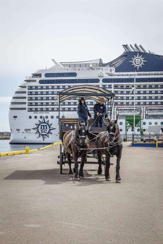 Prince Edward Island: Horse-Drawn Carriage Tour - The Sum Up