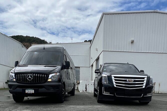 Prince Taxi and Island tours in St.thomas US Virgin Island - An Overview of the Tour Experience