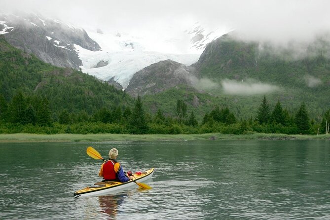 Prince William Sound Tour with Glacier Landing from Girdwood - The Value of This Tour