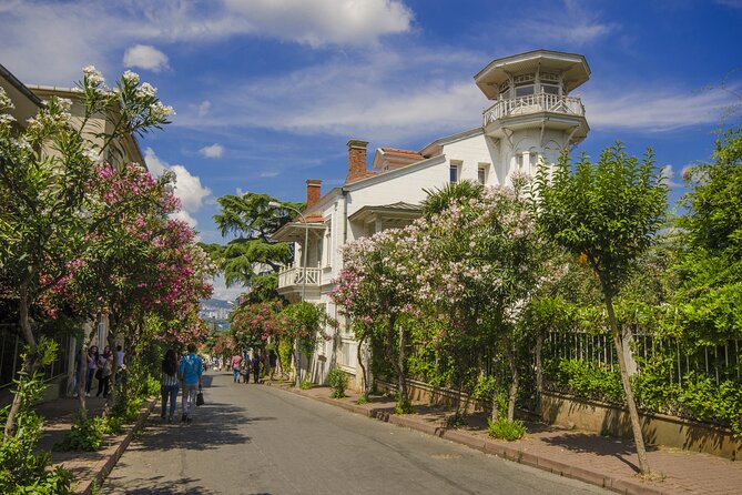 Princes Islands Tour From Istanbul Lunch Included - Negative Aspects