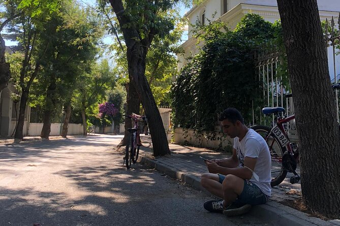 Princess Islands Tour With Lunch and Guide - An In-Depth Look at the Tour