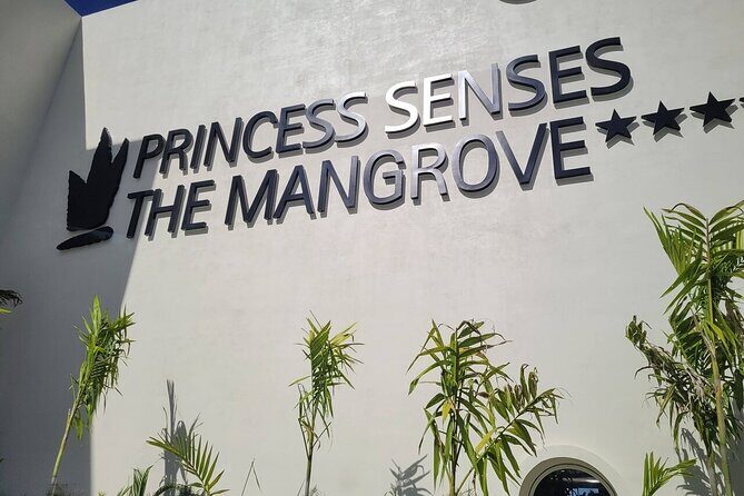 Princess Senses The Mangrove Airport Transfers - Final Thoughts: Who Is This Best For?