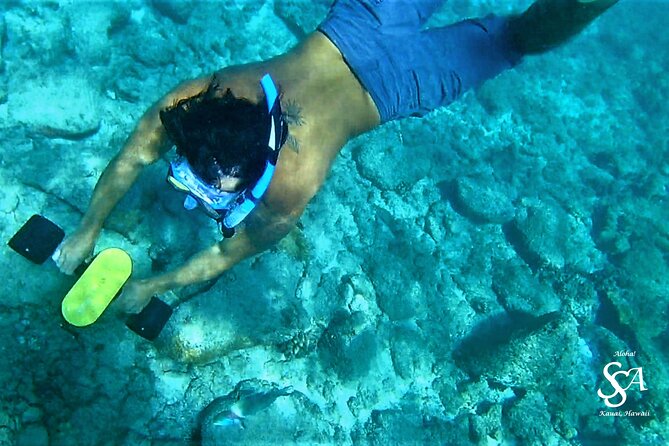 Princeville - Snorkeling Shore Excursion - Authentic Experiences and Highlighted Features