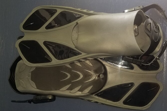 Princeville - Snorkeling Shore Excursion - Who Will Love This Tour?