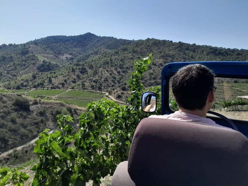 Priorat tour to 3 small wineries and hotel pick-up - How the Experience Adds Value