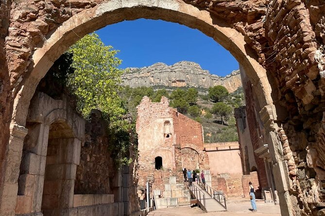 Priorat Tour to 3 Small Wineries and Hotel Pick-Up - Delectable Lunch and Wine Pairing