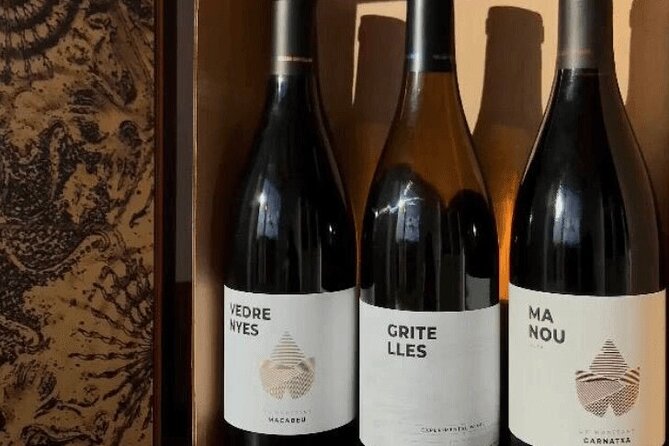 Priorat Wine Tasting Tour From Salou With Hotel Pickup - Knowledgeable and Experienced Tour Guide