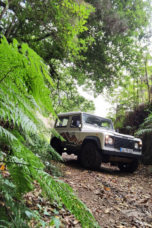 Priv. West: 4x4 Tour|Seixal Beach|Porto Moniz Natural Pools| - FAQ