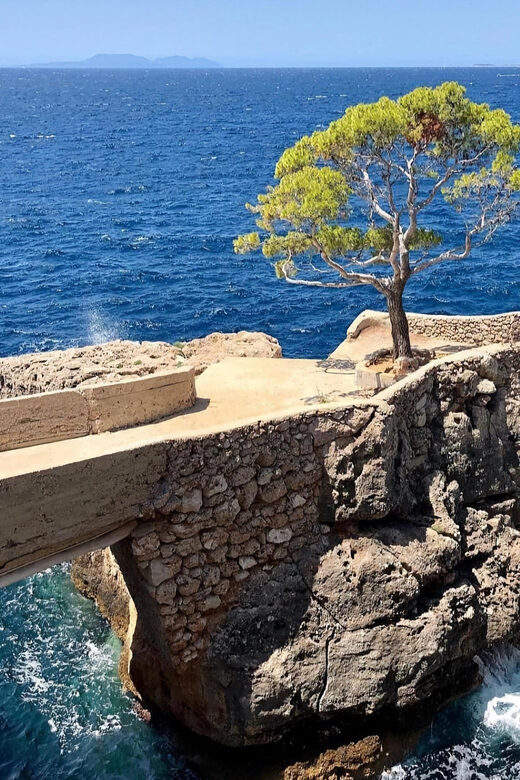 Privat - Hvar south shore and Pakleni islands experience. - Detailed Breakdown of the Itinerary