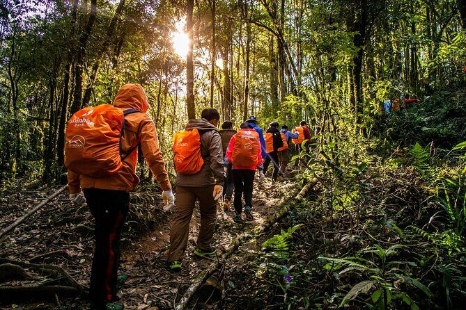 Private 1 Day Fansipan Conquering And Trekking - Key Points