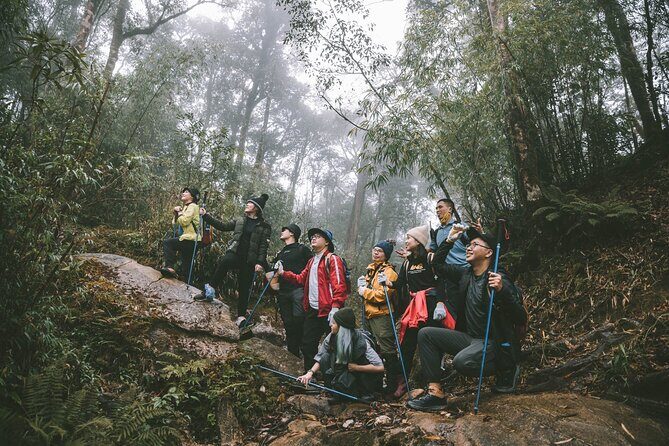 Private 1 Day Fansipan Conquering And Trekking - The Practicalities and Value